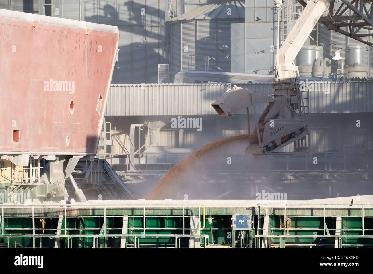 Cargo ship loading grain at grain elevator terminal in Port of Gdansk ...