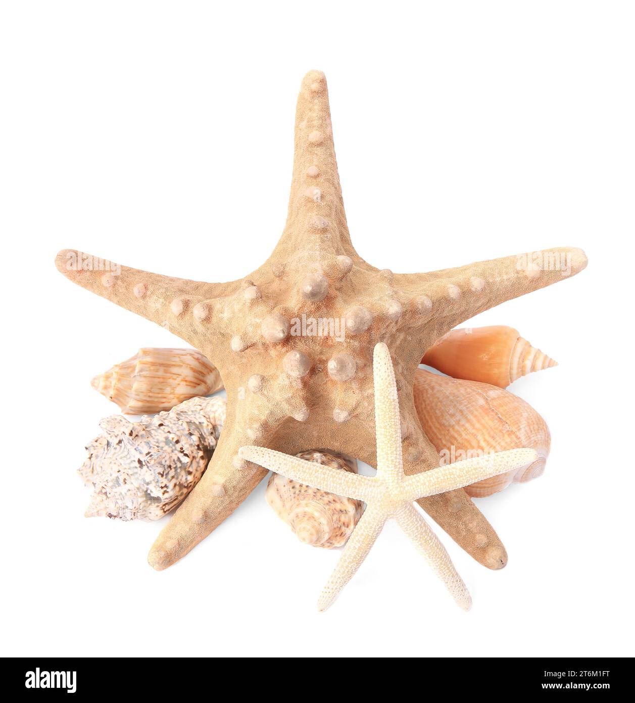 Beautiful sea stars and seashells isolated on white Stock Photo - Alamy
