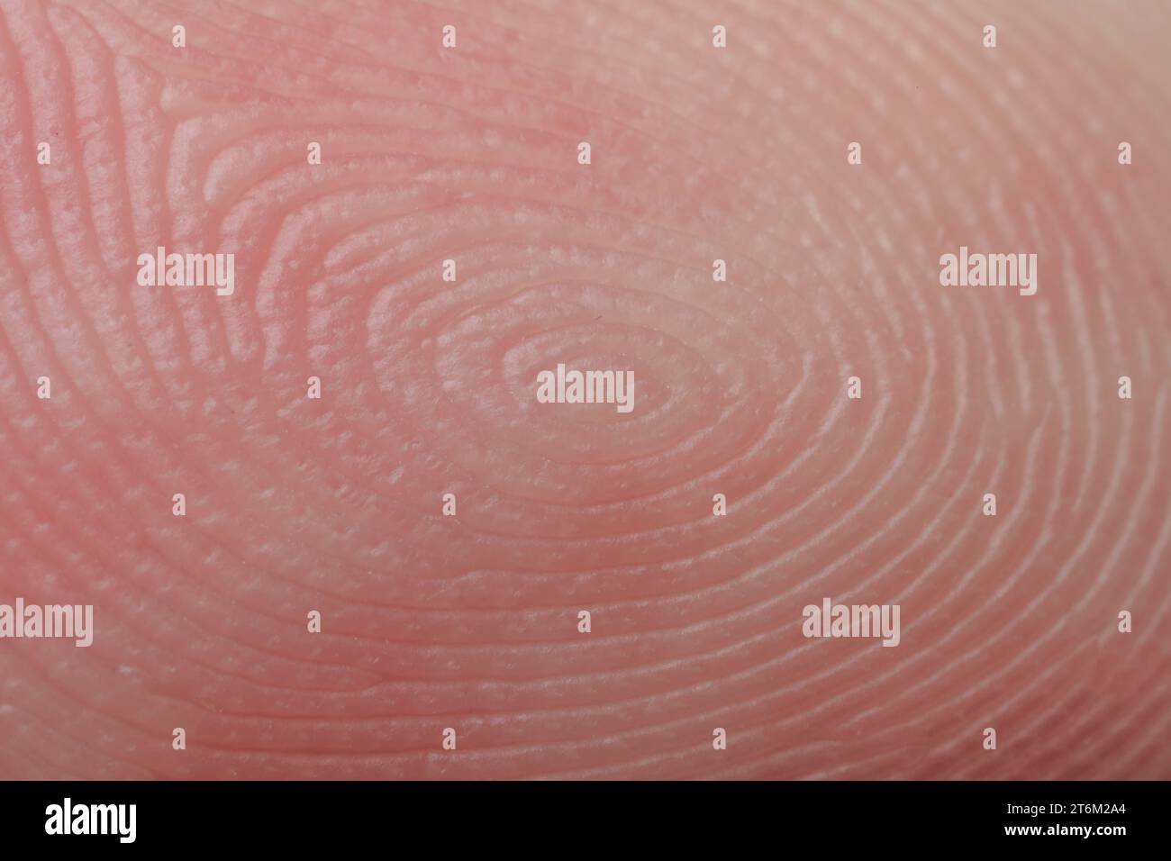 Friction ridges on finger as background, macro Stock Photo - Alamy