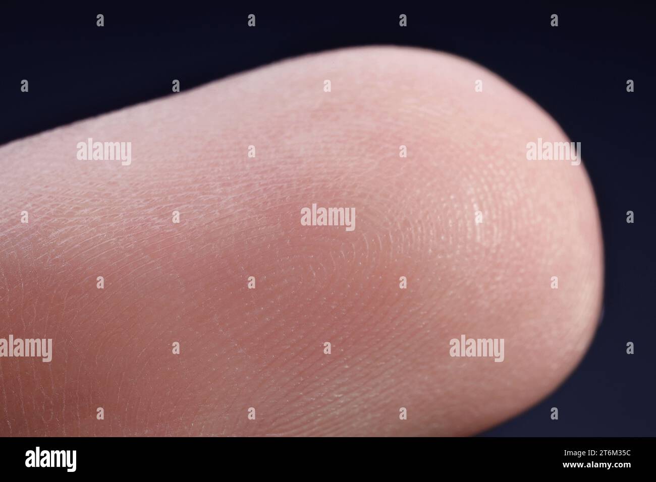 Finger with friction ridges on dark background, macro view Stock Photo ...