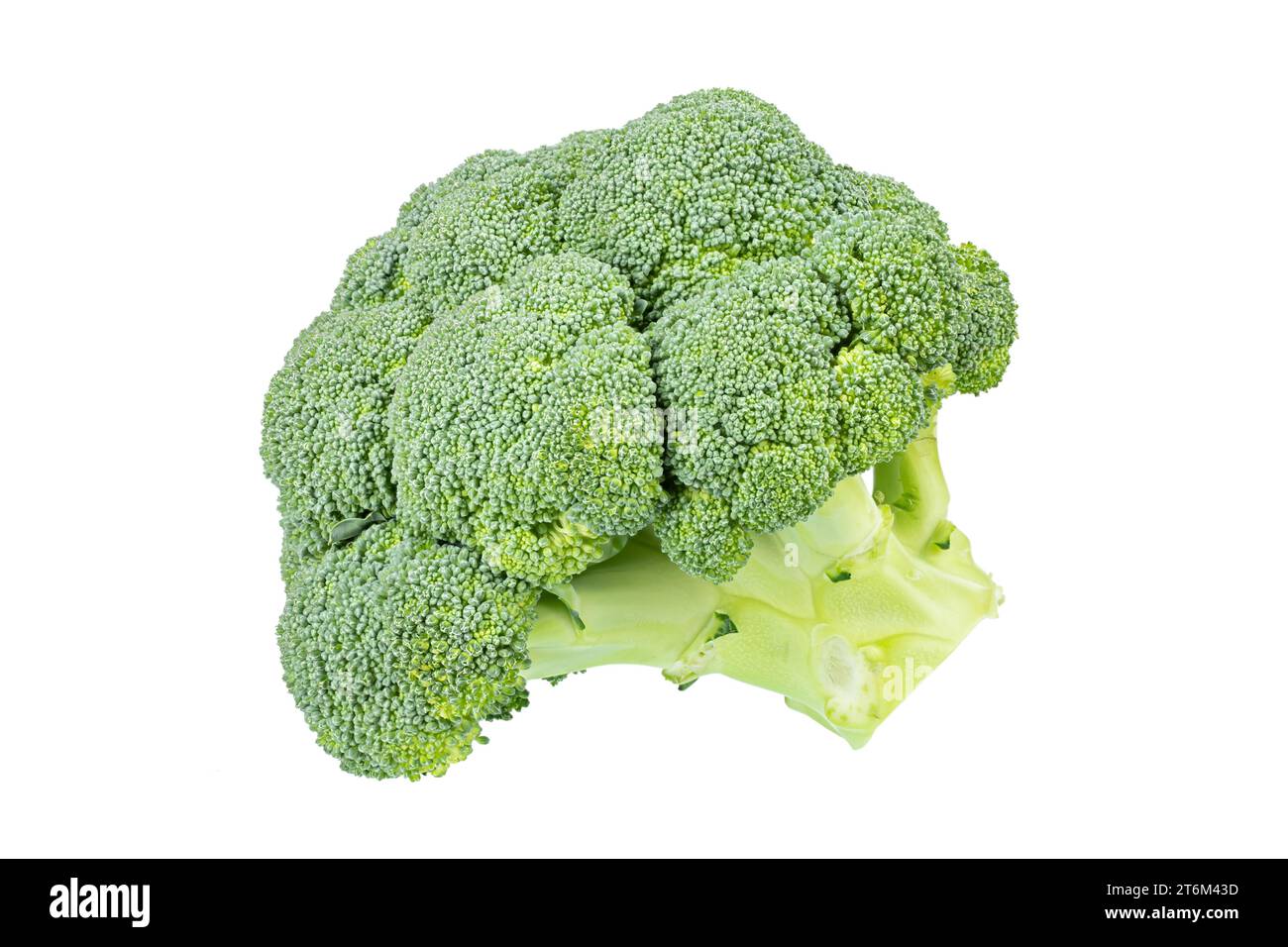 Fresh broccoli isolated on white background. File contains clipping ...
