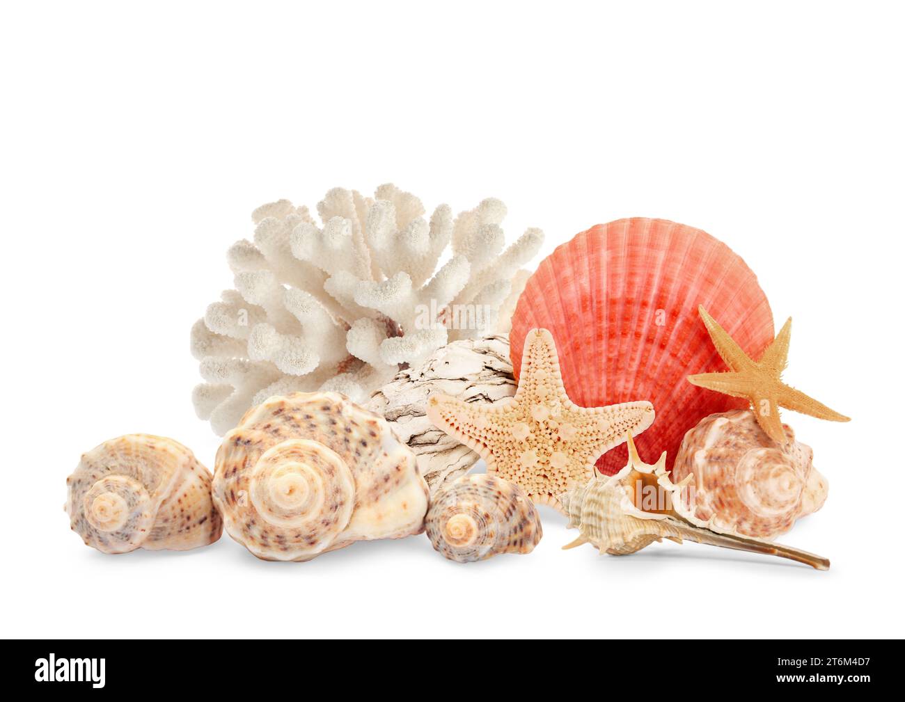 Coral stars Cut Out Stock Images & Pictures - Alamy