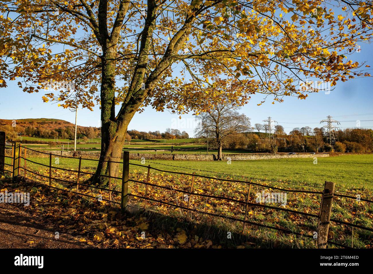 Country lanes in autumn sunshine Stock Photo - Alamy