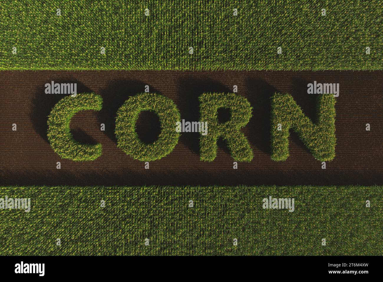 Inscription Corn from plants on an agricultural field. Corn plant 3D on ...