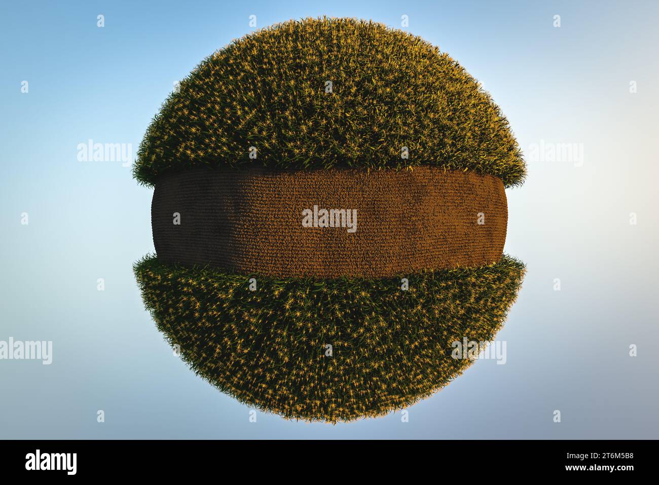 Abstract spherical corn field on a blue background. Corn plants with ...