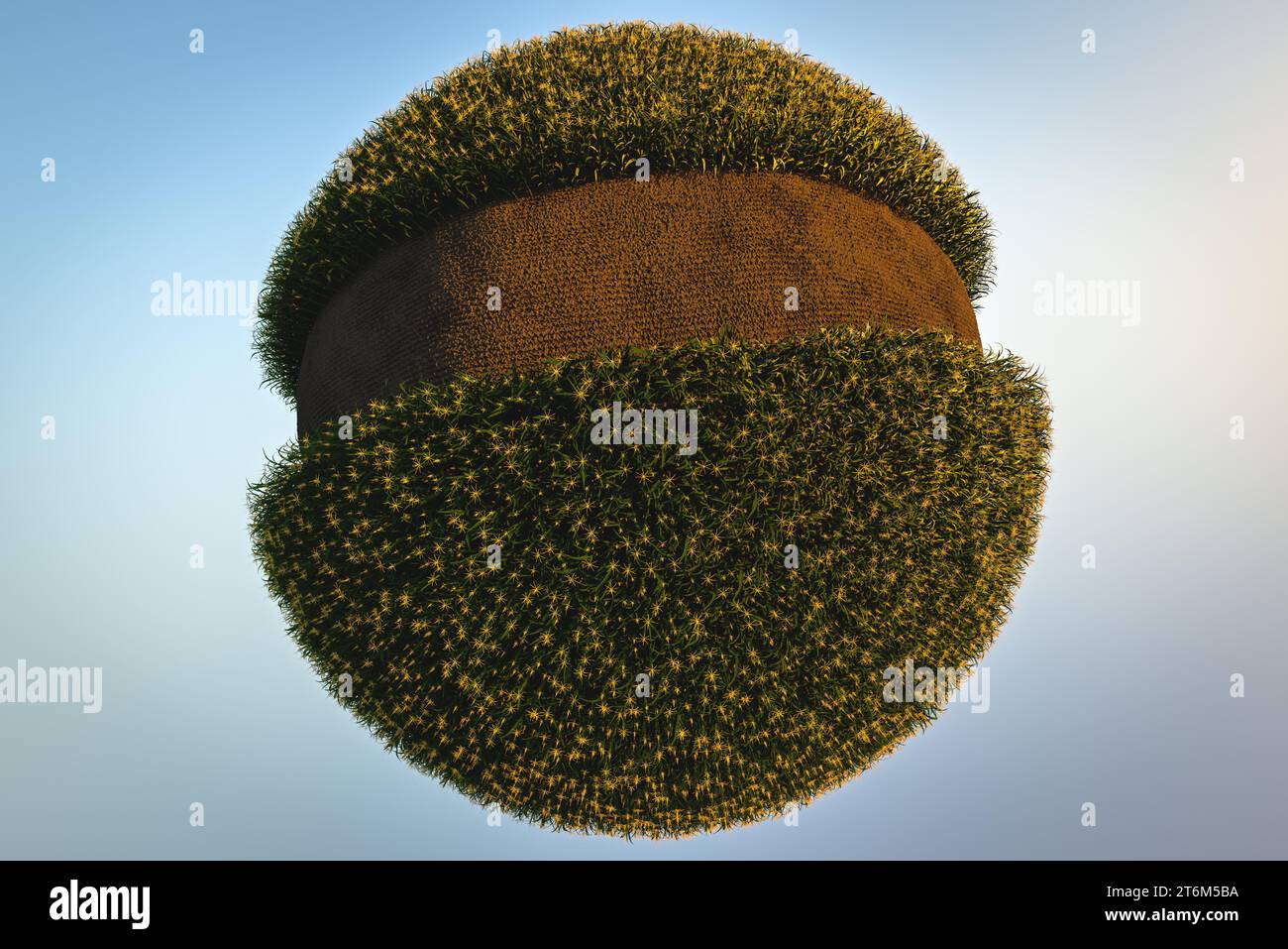 Abstract spherical corn field on a blue background. Corn plants with ...