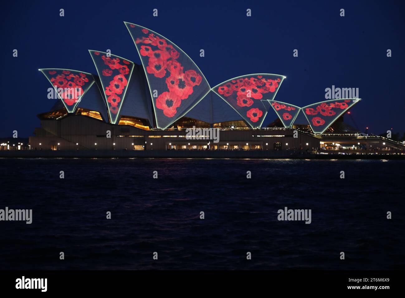 Sydney opera house poppies hi-res stock photography and images - Alamy