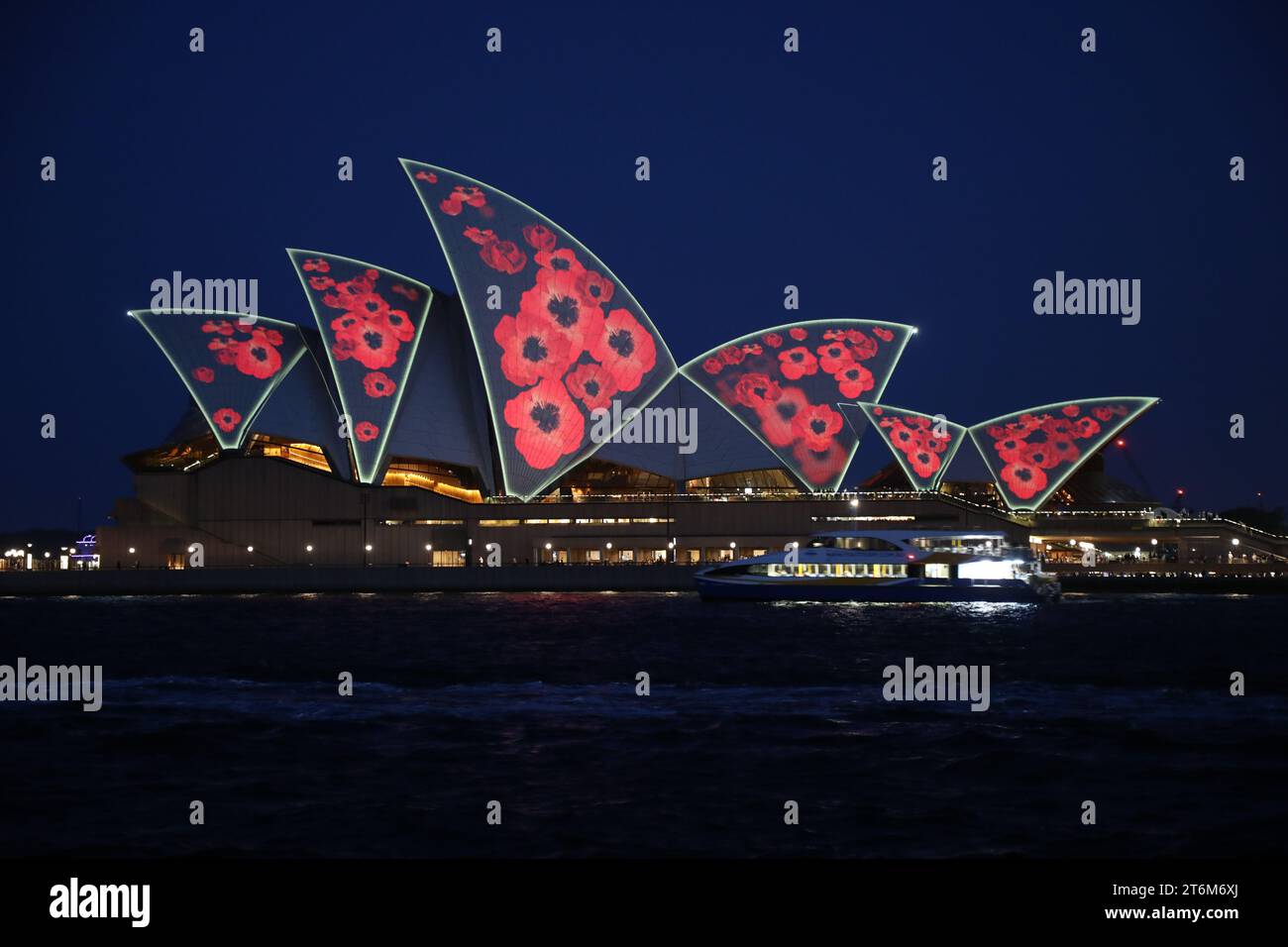 Sydney opera house poppies hi-res stock photography and images - Alamy