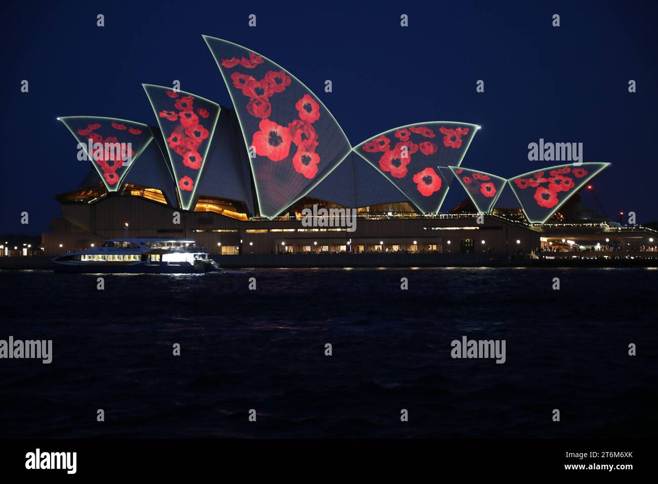 Sydney opera house poppies hi-res stock photography and images - Alamy