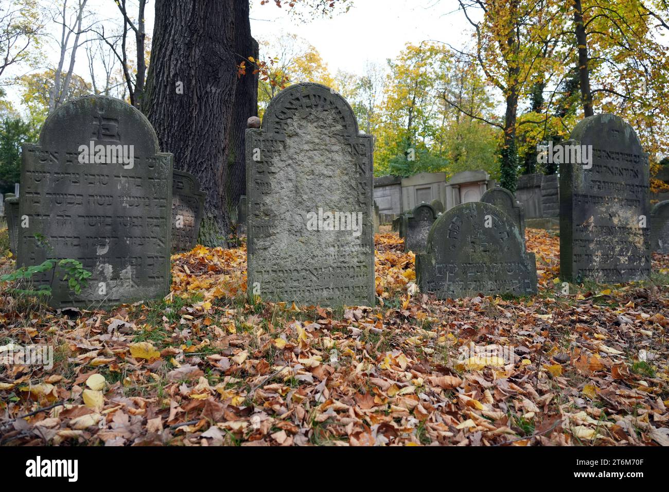 09 November 2023, Brandenburg, Potsdam: Gravestones in Potsdam's Jewish ...
