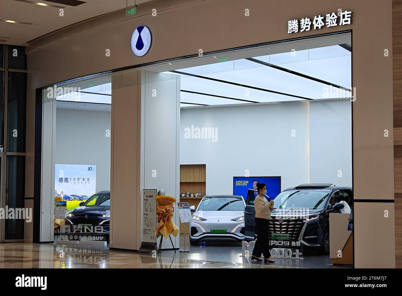 SHANGHAI, CHINA - NOVEMBER 11, 2023 - Customers shop at a DENZA new ...