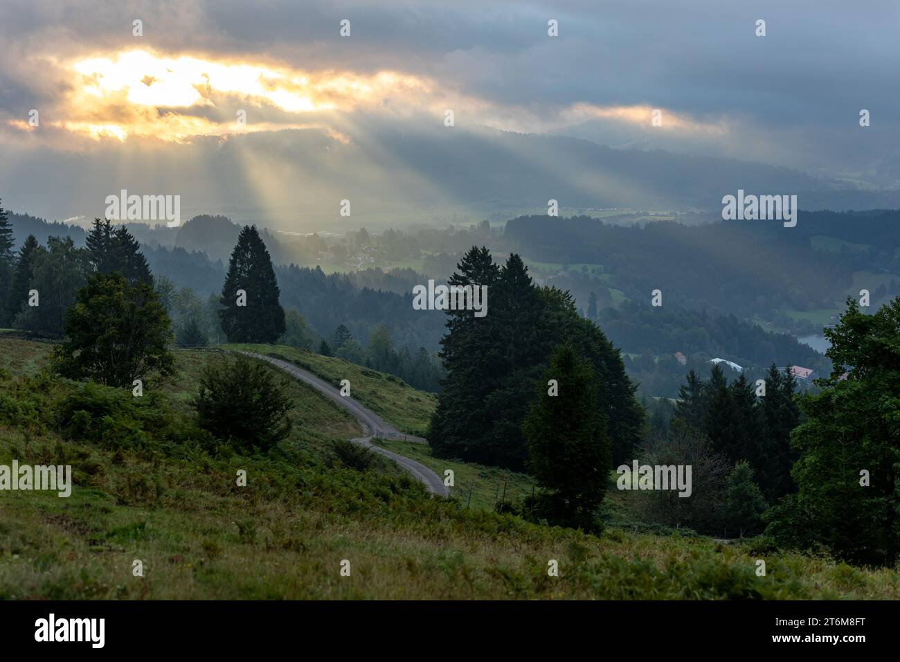 Warm sunlight on green hills hi-res stock photography and images - Alamy