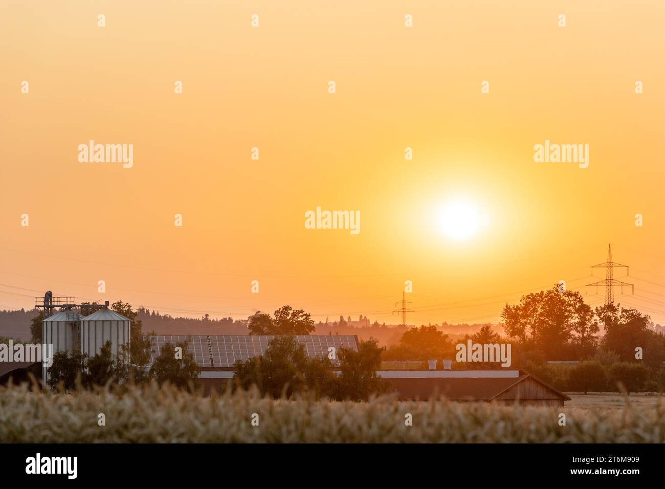 sunset above farm yard with power lines and forest in background Stock ...