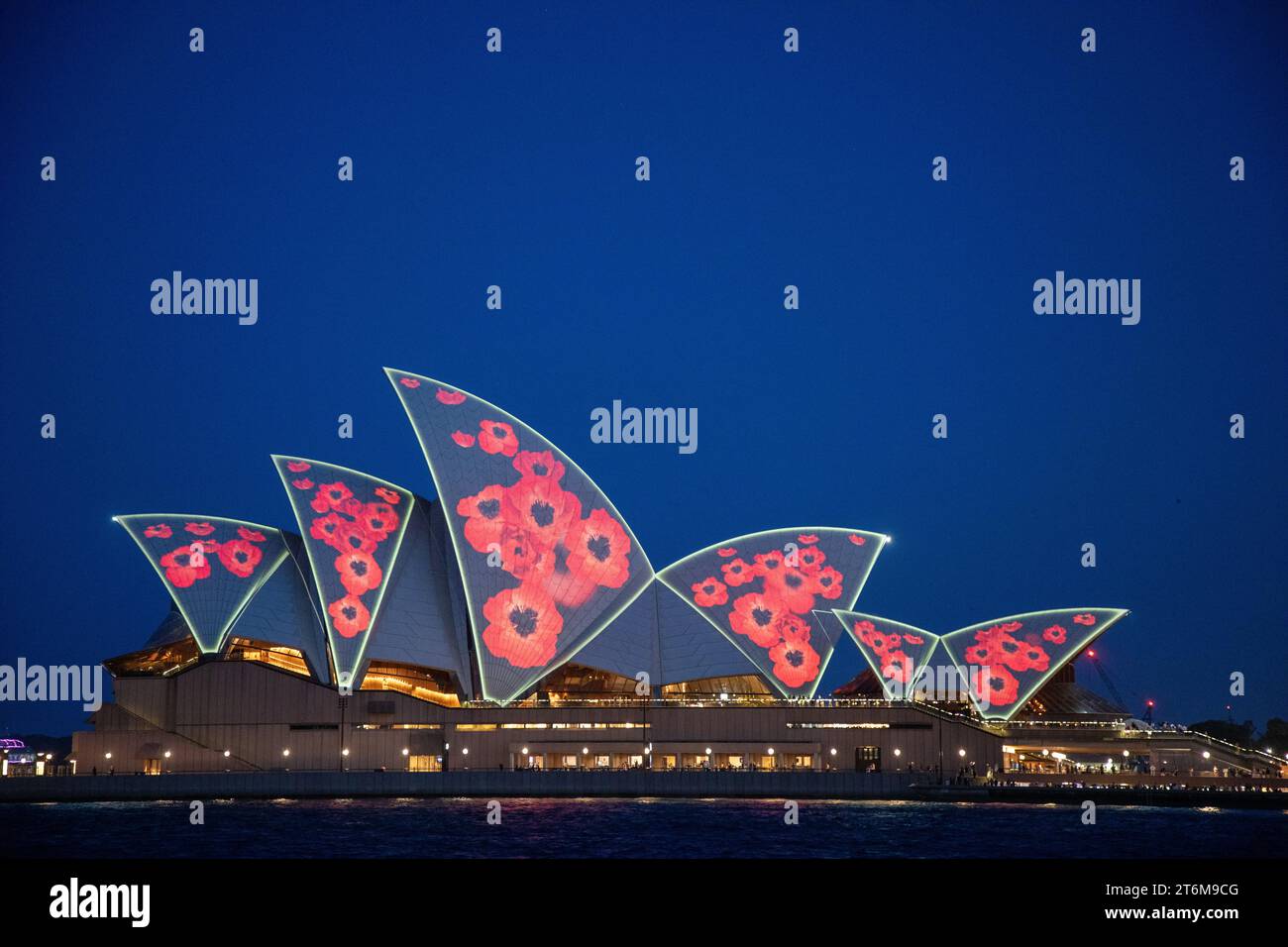 Sydney, Australia. 11th November 2023. At 8pm the Sydney Opera House ...