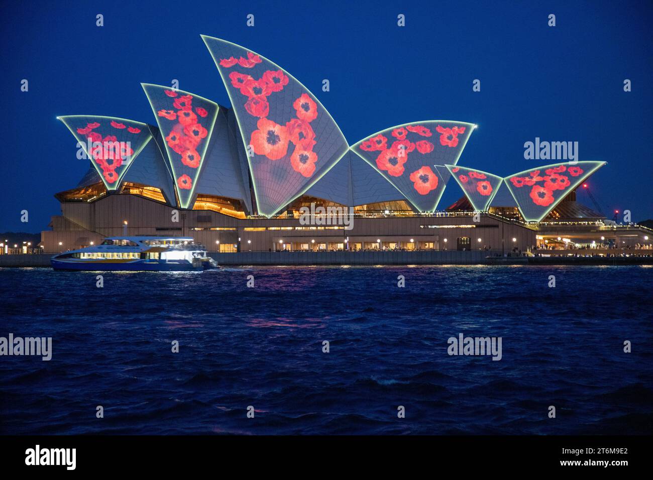 Sydney opera house poppies hi-res stock photography and images - Alamy