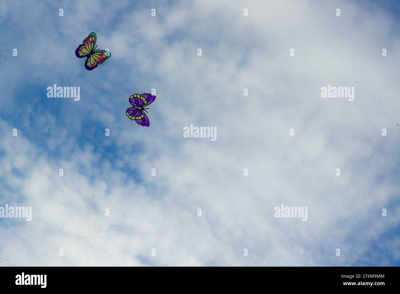 Two butterflies against blue and cloudy sky. Butterfly stickers on a ...