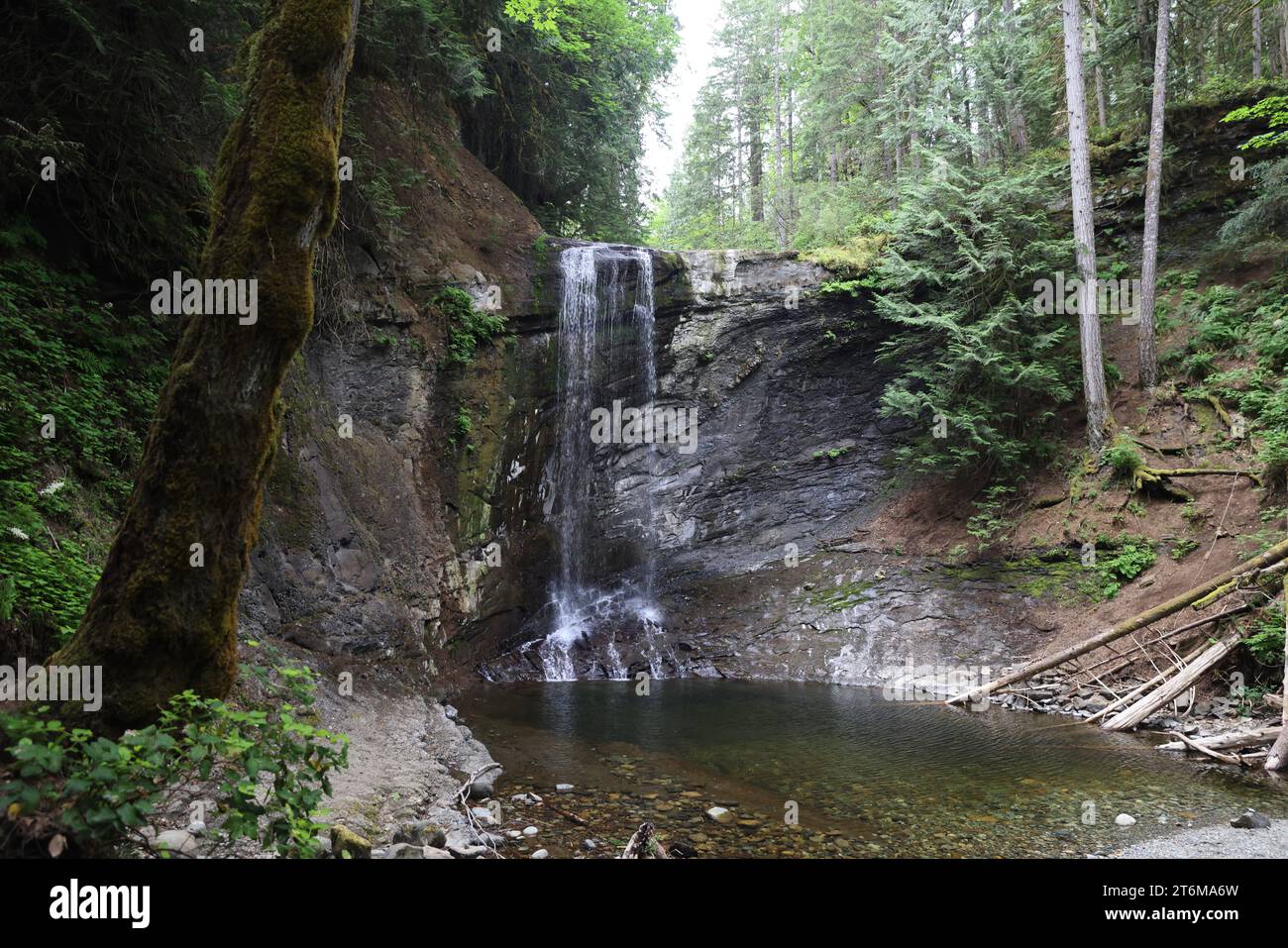 Ammonite falls hi-res stock photography and images - Alamy
