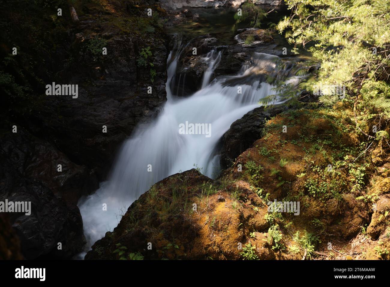 Little Qualicum Falls- Provincial Park (Vancouver Island) Canada Stock ...