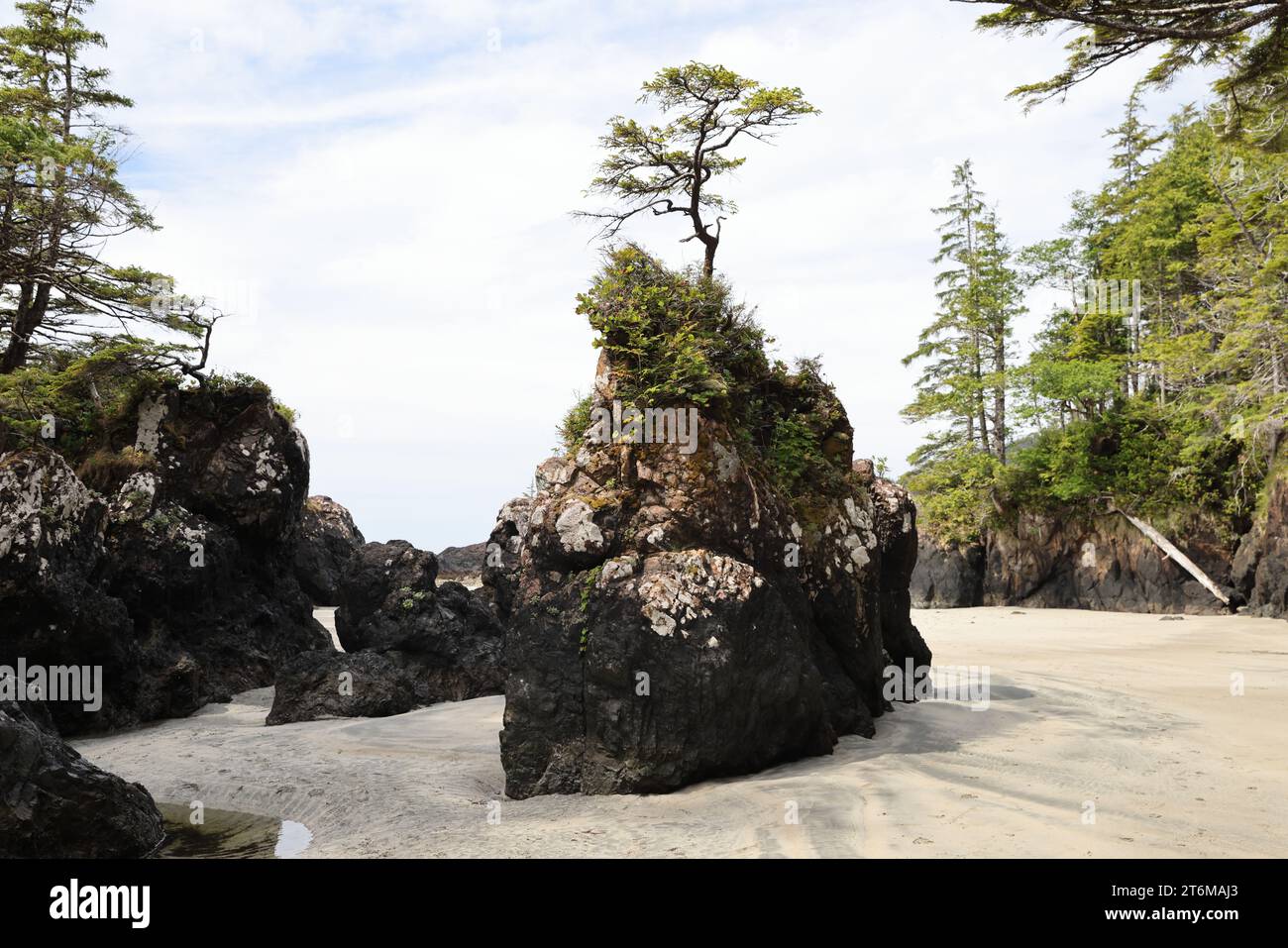 Cape Scott Provincial Park - Sea Stacks at San Josef Bay (Vancouver ...