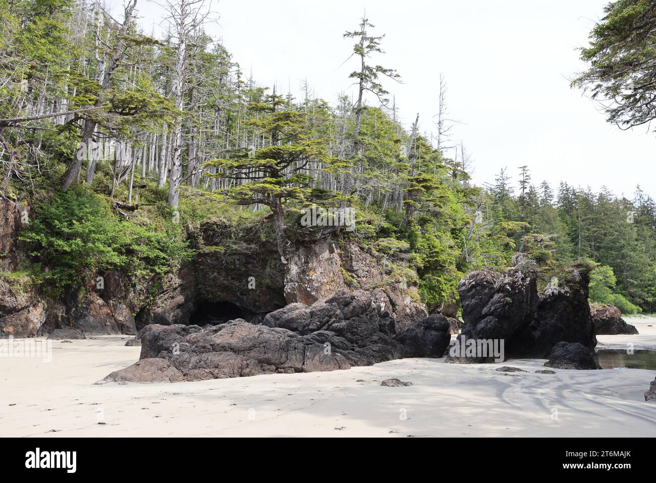 Cape Scott Provincial Park - Sea Stacks at San Josef Bay (Vancouver ...