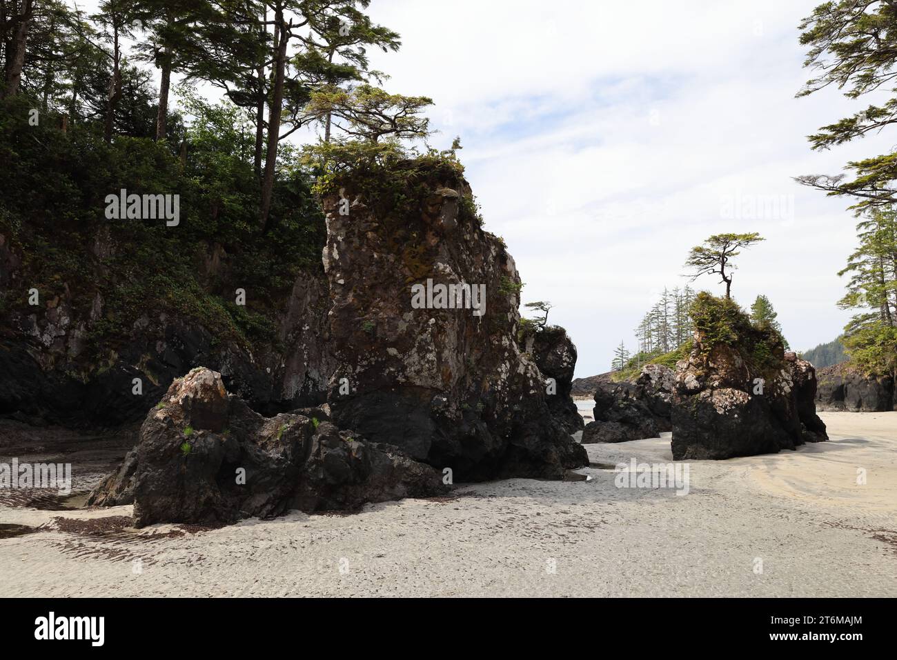 Cape Scott Provincial Park - Sea Stacks at San Josef Bay (Vancouver ...