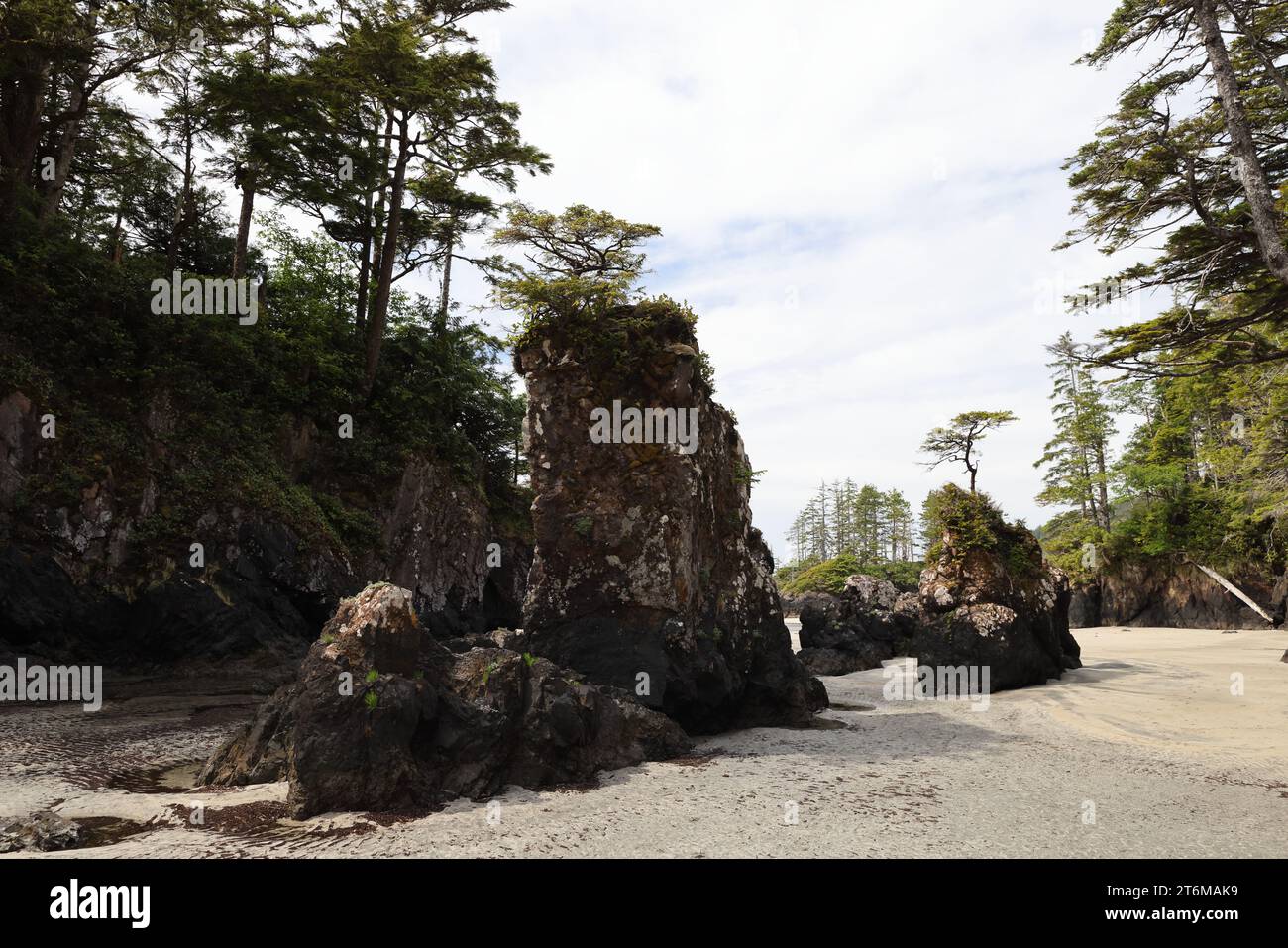Cape Scott Provincial Park - Sea Stacks at San Josef Bay (Vancouver ...