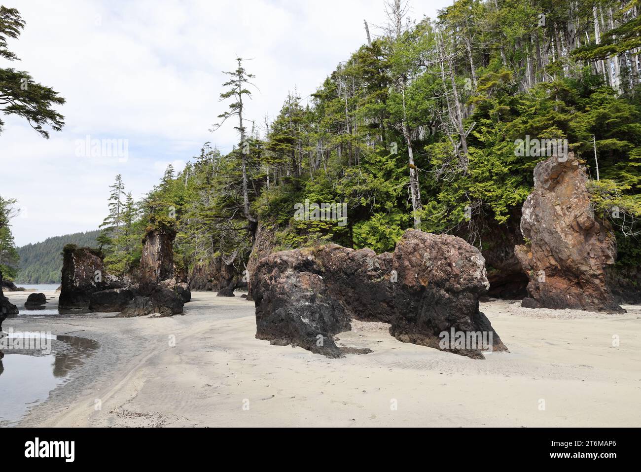 Cape Scott Provincial Park - Sea Stacks at San Josef Bay (Vancouver ...