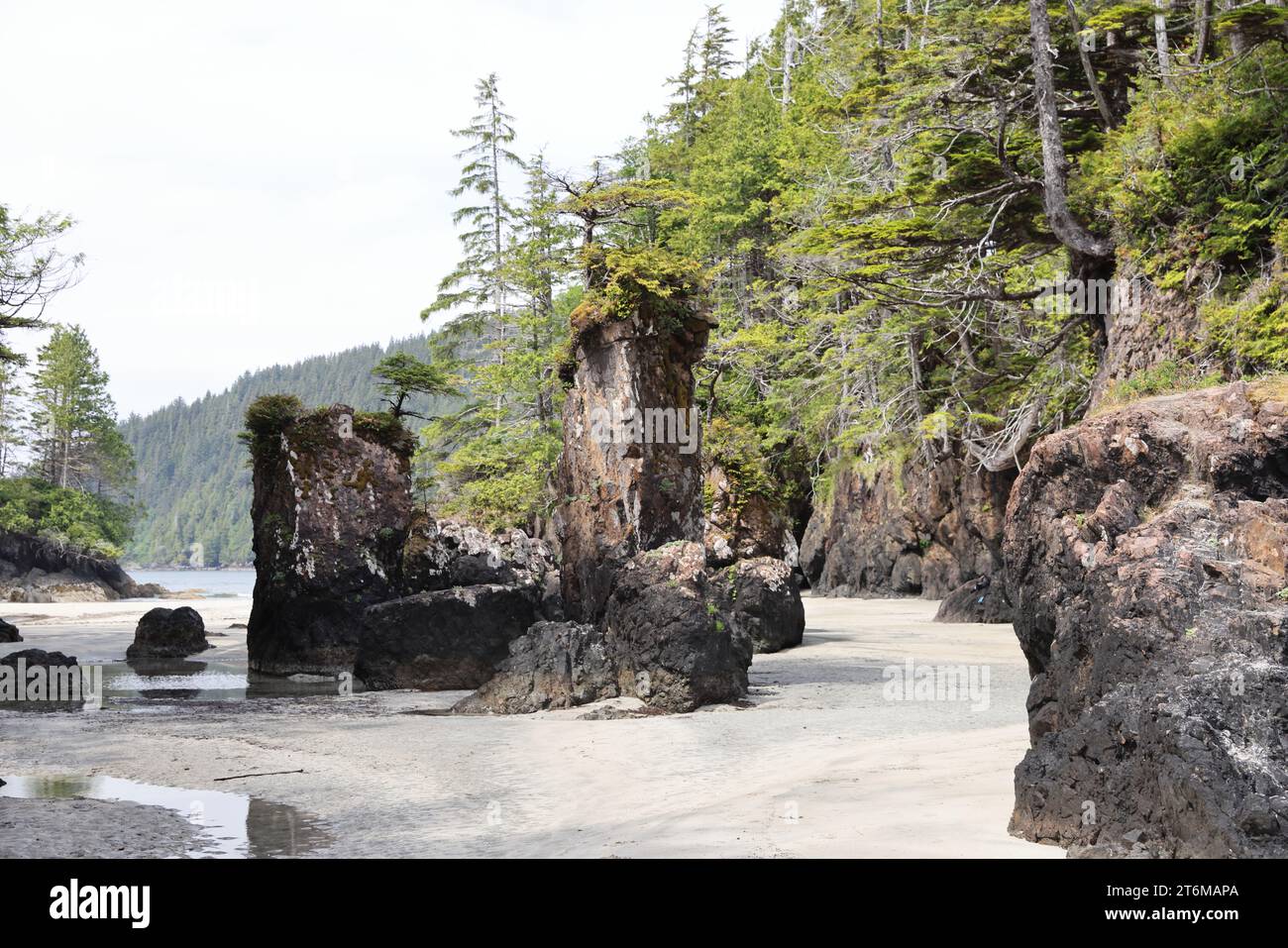 Cape Scott Provincial Park - Sea Stacks at San Josef Bay (Vancouver ...
