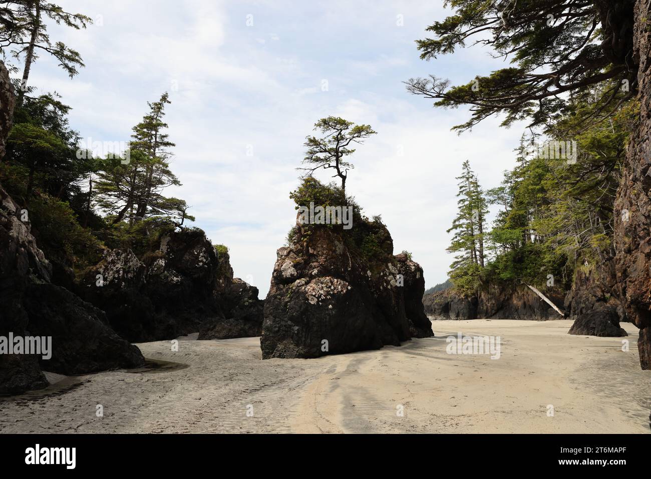 Cape Scott Provincial Park - Sea Stacks at San Josef Bay (Vancouver ...