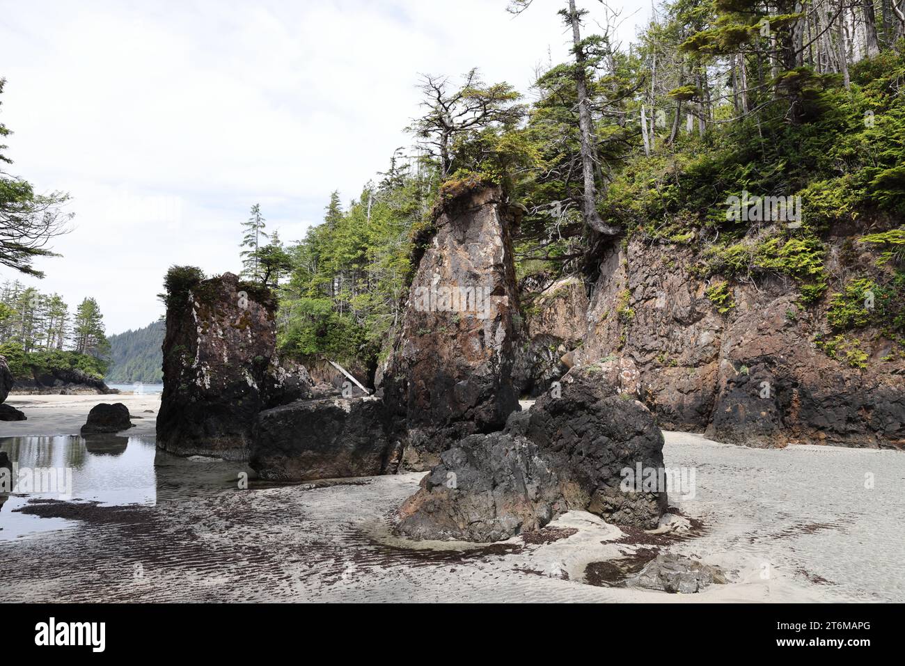 Cape Scott Provincial Park - Sea Stacks at San Josef Bay (Vancouver ...