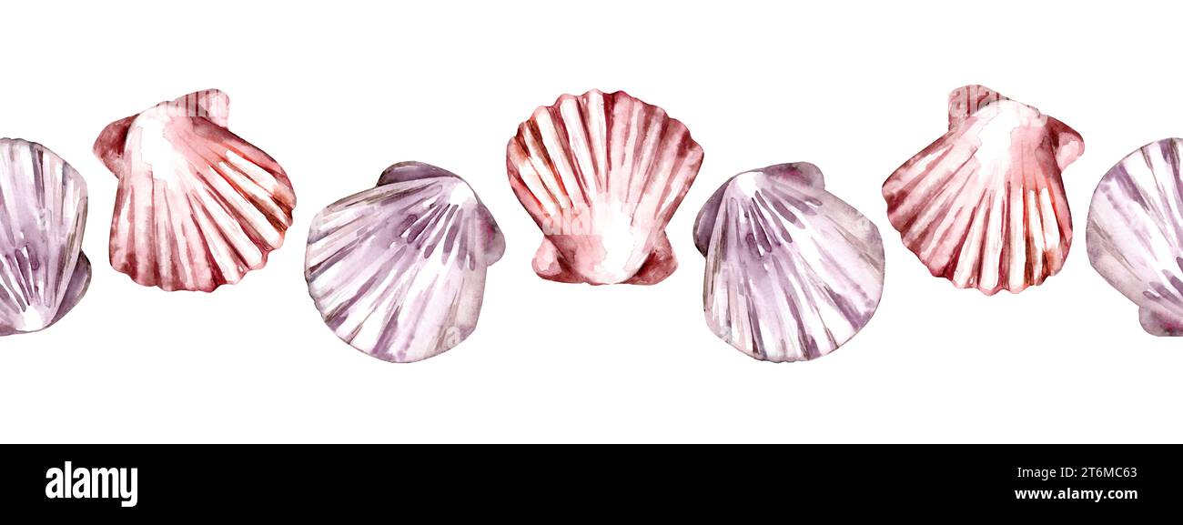Seamless Border with Seashells. Hand drawn watercolor illustration on ...