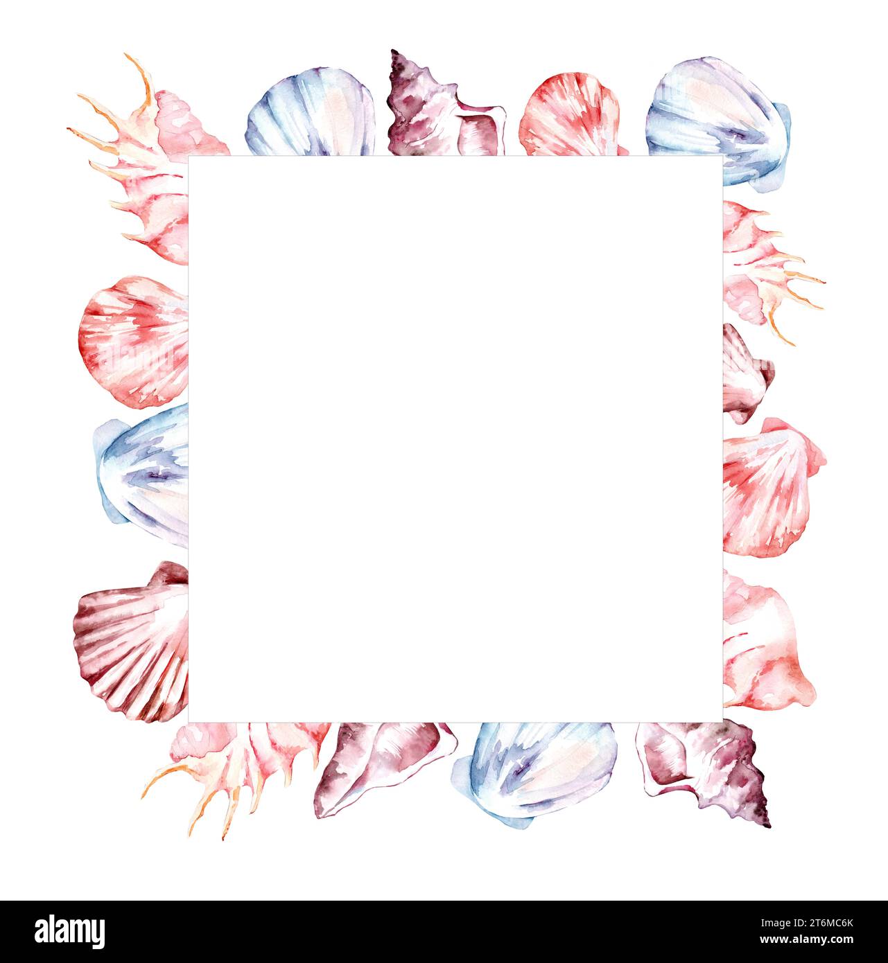 Seashell Rectangular Frame. Hand drawn watercolor illustration of ...