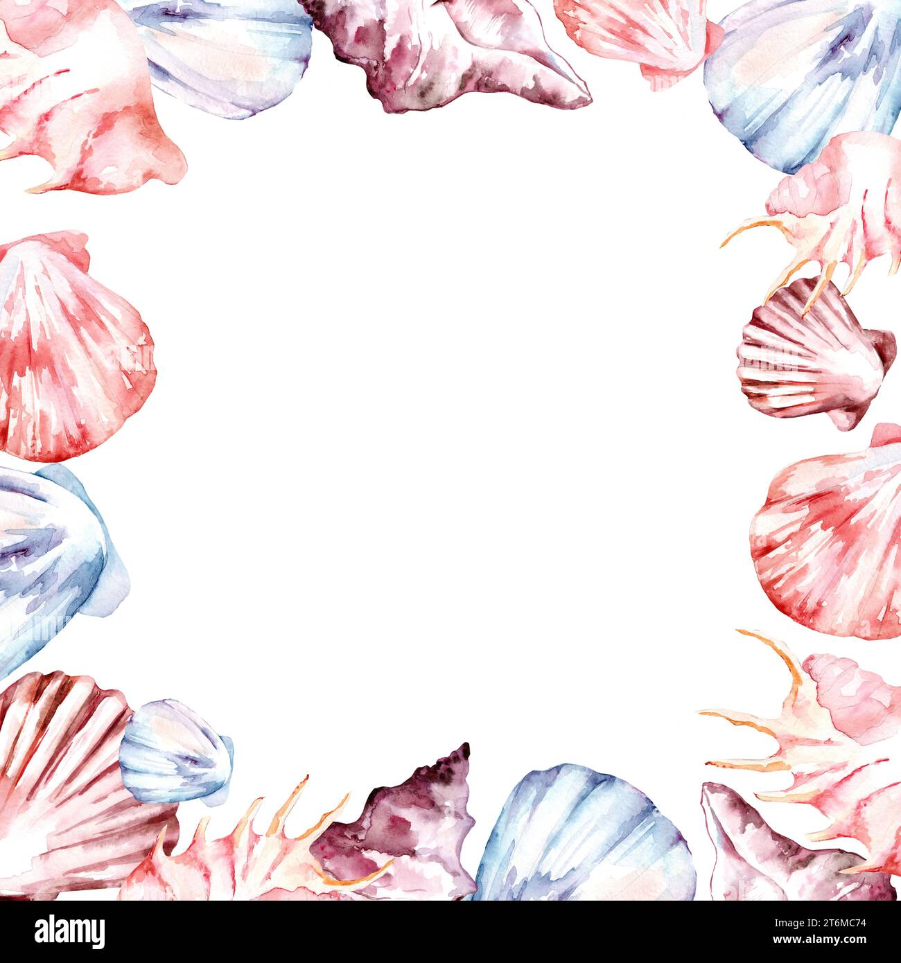 Seashell Square Frame. Hand drawn watercolor illustration of border ...