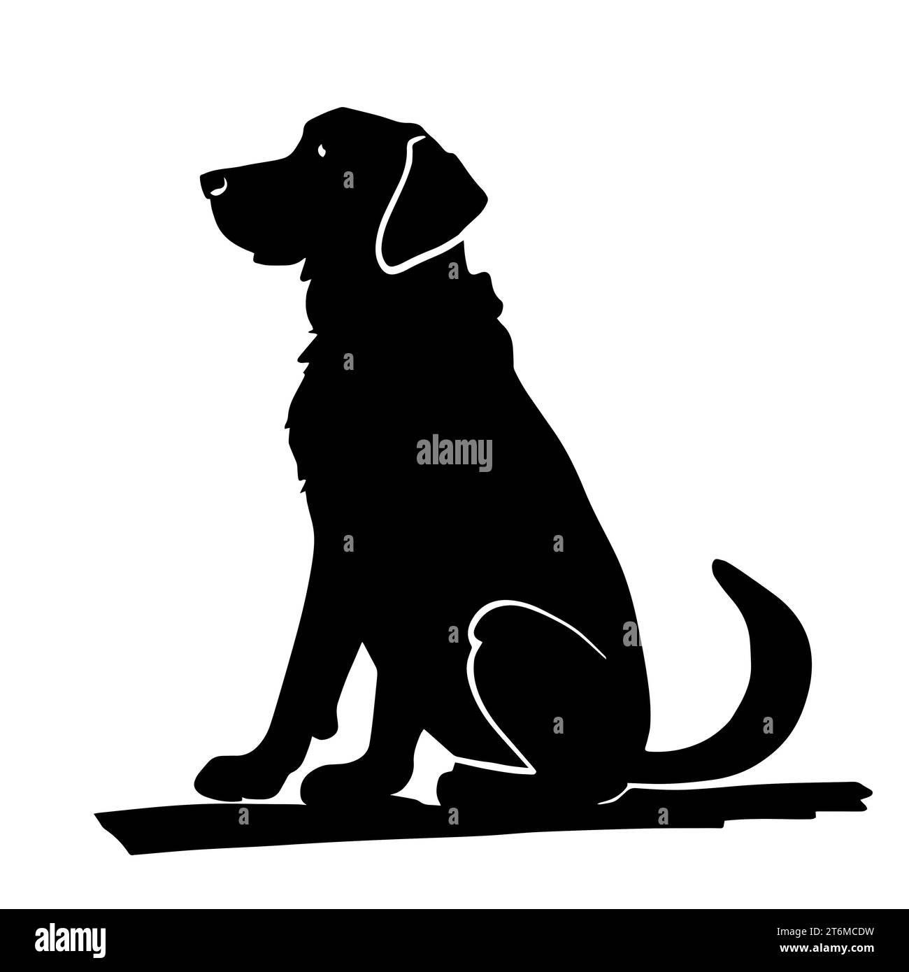 black and white Labrador Retriever, a breed known for its friendly and ...