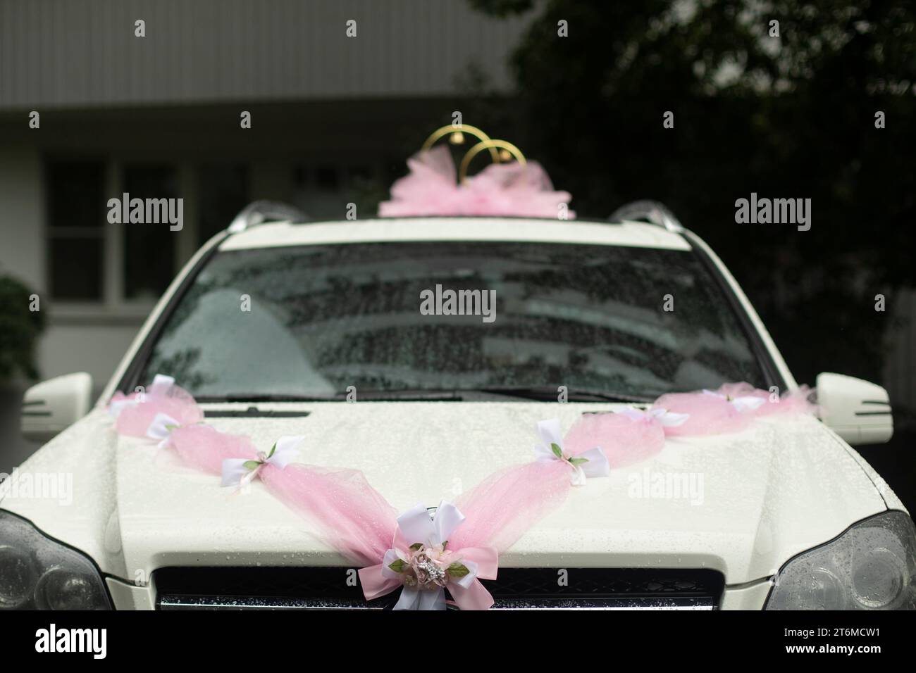 Wedding car decoration. Rings on roof of vehicles. Pink ribbon on ...