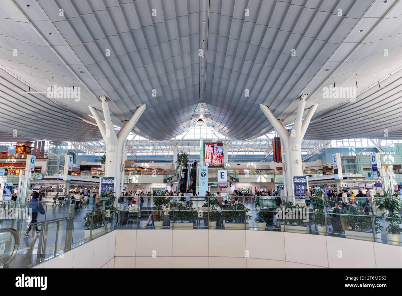 Tokyo, Japan - September 25, 2023: Terminal 3 of Tokyo Haneda Airport ...