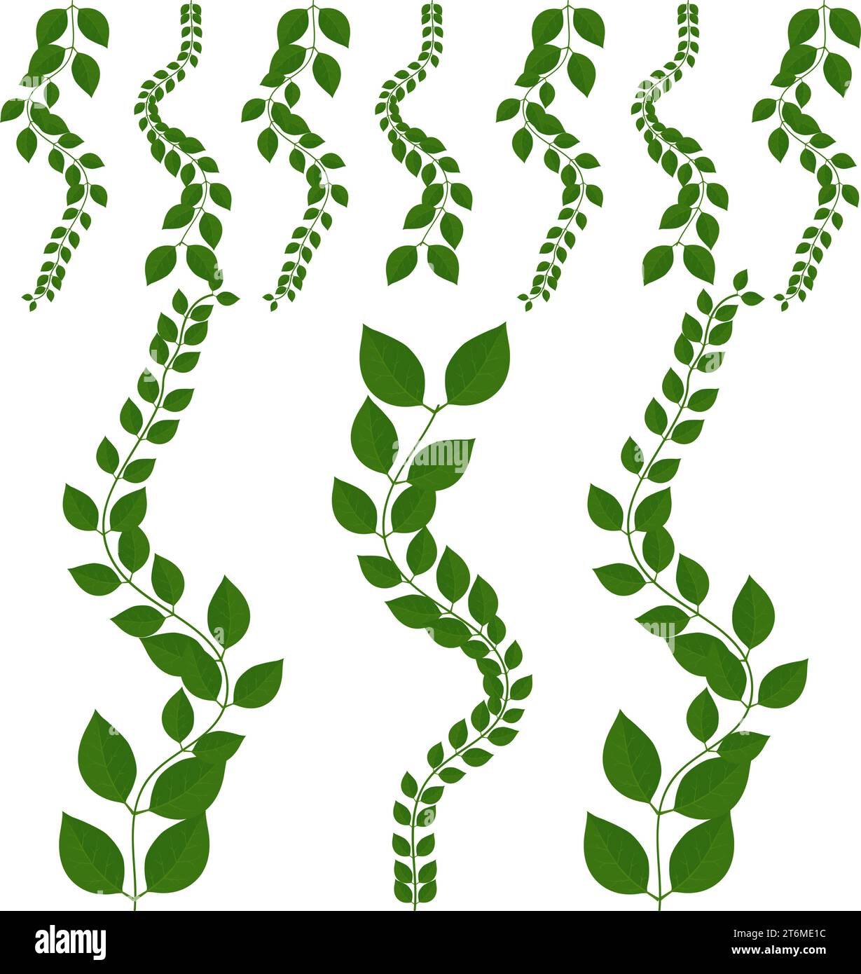 Blossom botany Stock Vector Images - Alamy