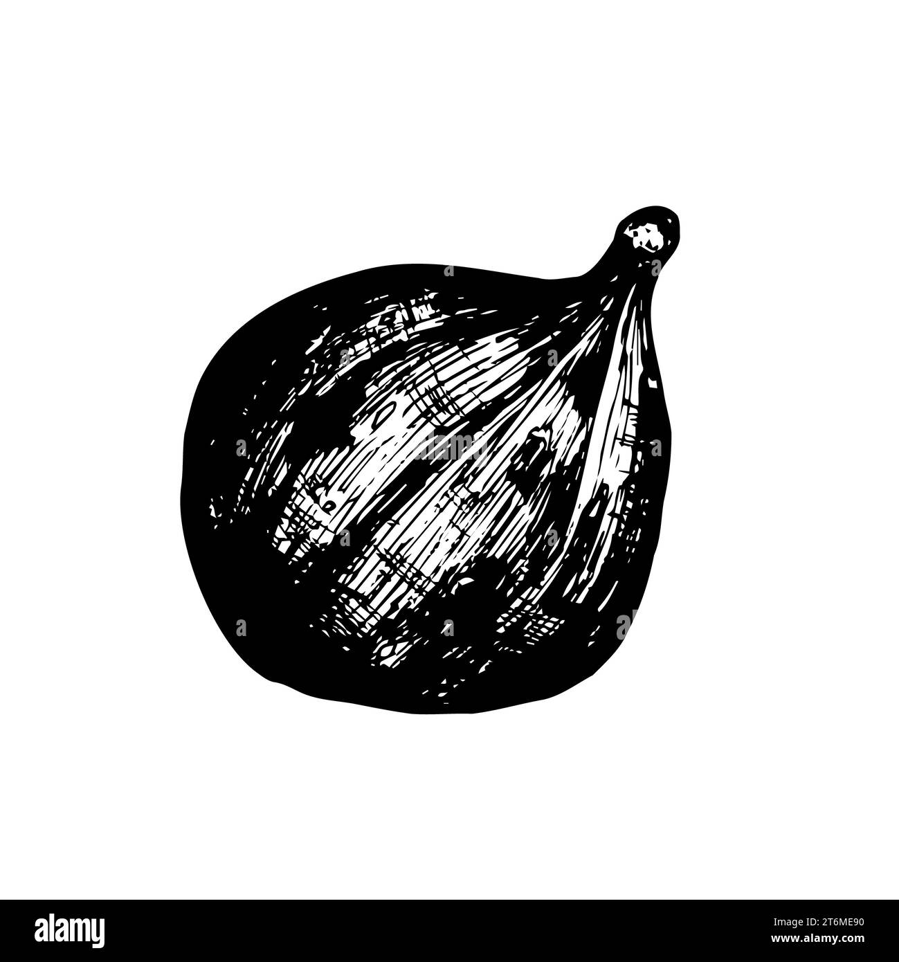 Ink outline art hi-res stock photography and images - Alamy