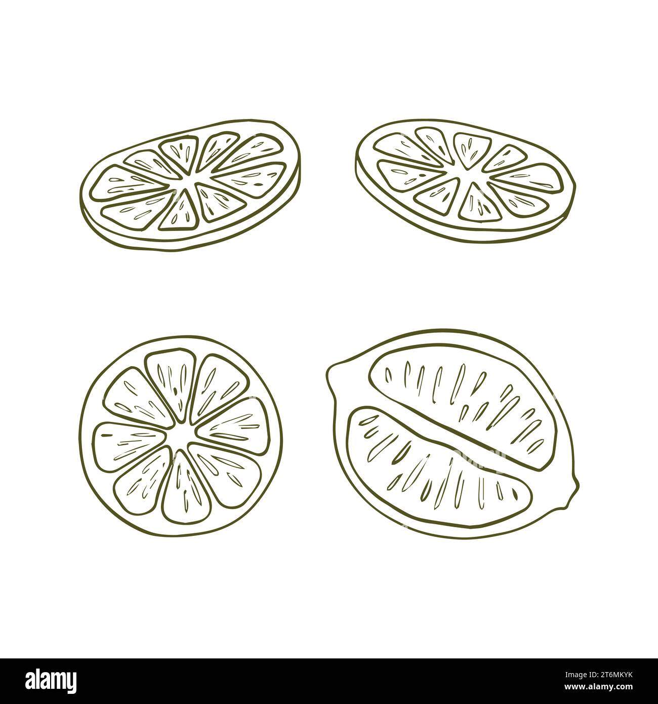 Vector hand-drawn set of lemons. Whole lemon, cut into pieces, half ...