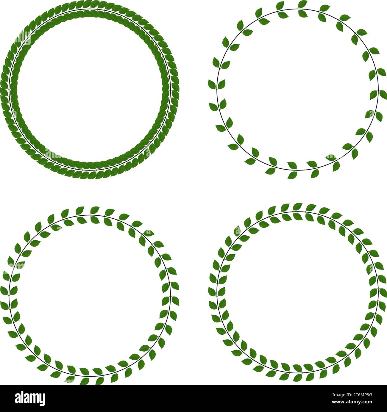 Vine leaf vector hi-res stock photography and images - Alamy