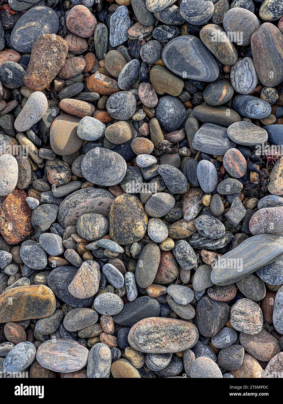landscape of sea stones on the seashore Stock Photo - Alamy