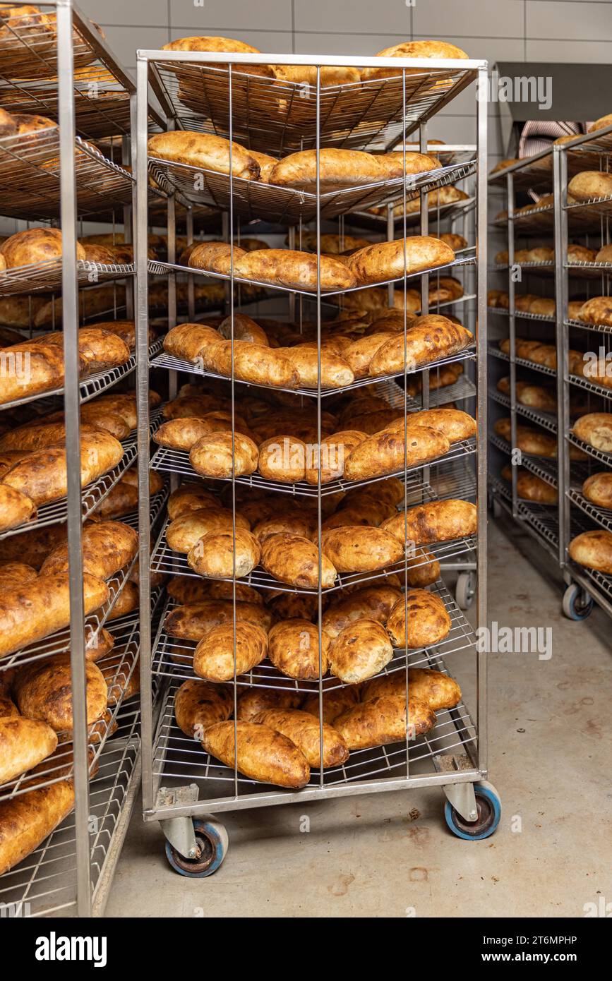 Rustic bread made from light flour on industrial shelves Stock Photo ...