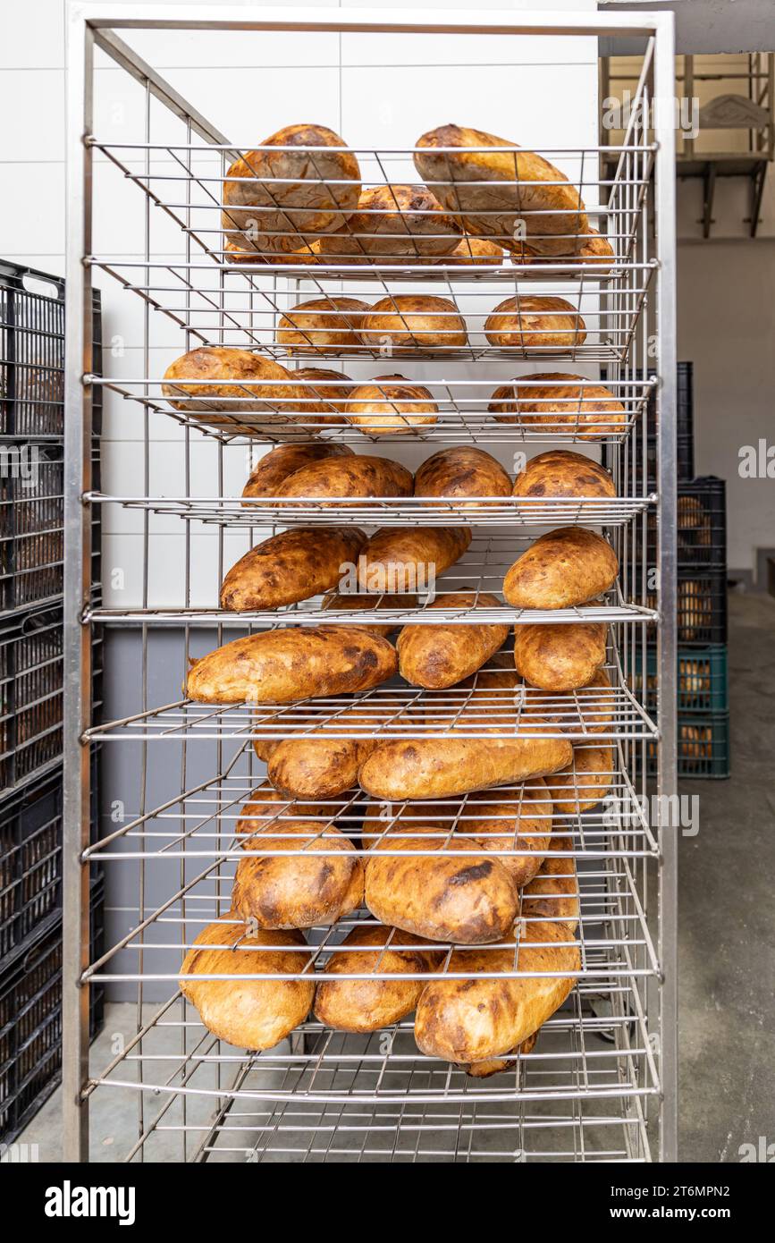 Storage and transport of freshly baked loaves of bread in a bakery for ...