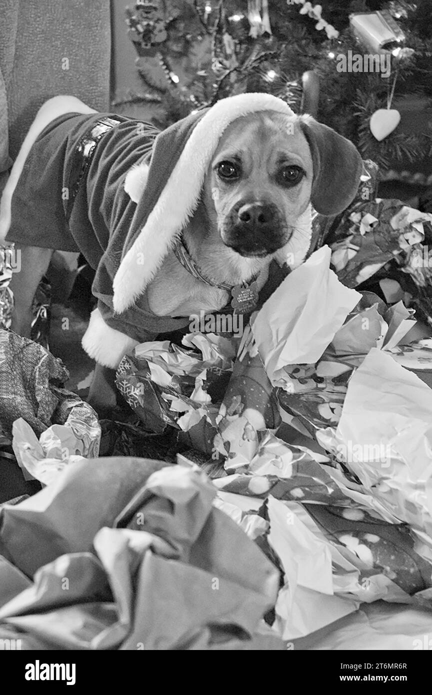 Artistic settings Black and White Stock Photos & Images - Alamy