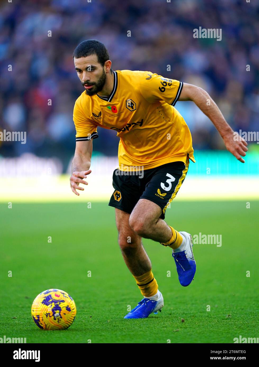 Ait nouri wolves 2023 november hi-res stock photography and images - Alamy