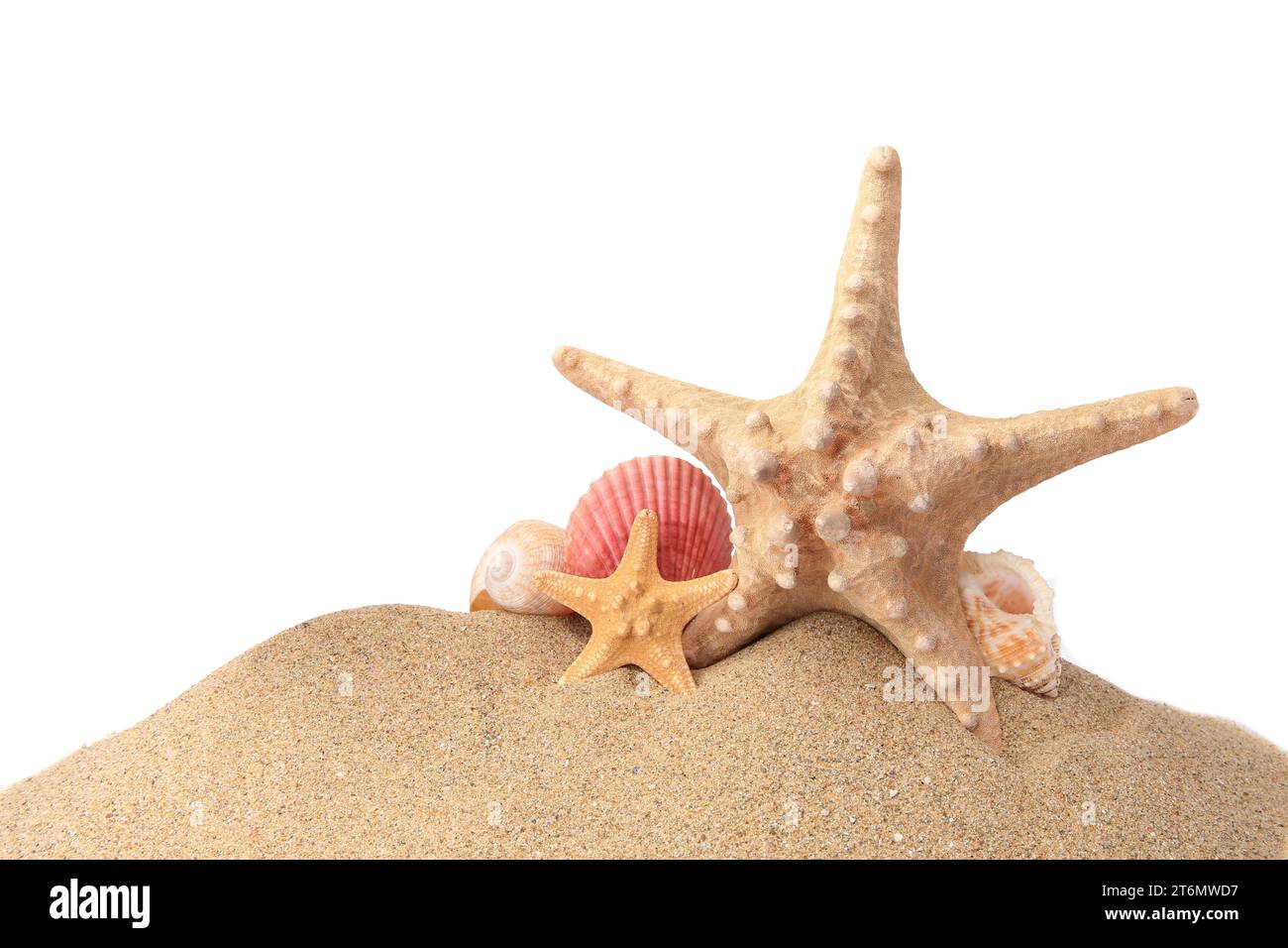 Beautiful sea stars and seashells in sand isolated on white Stock Photo ...