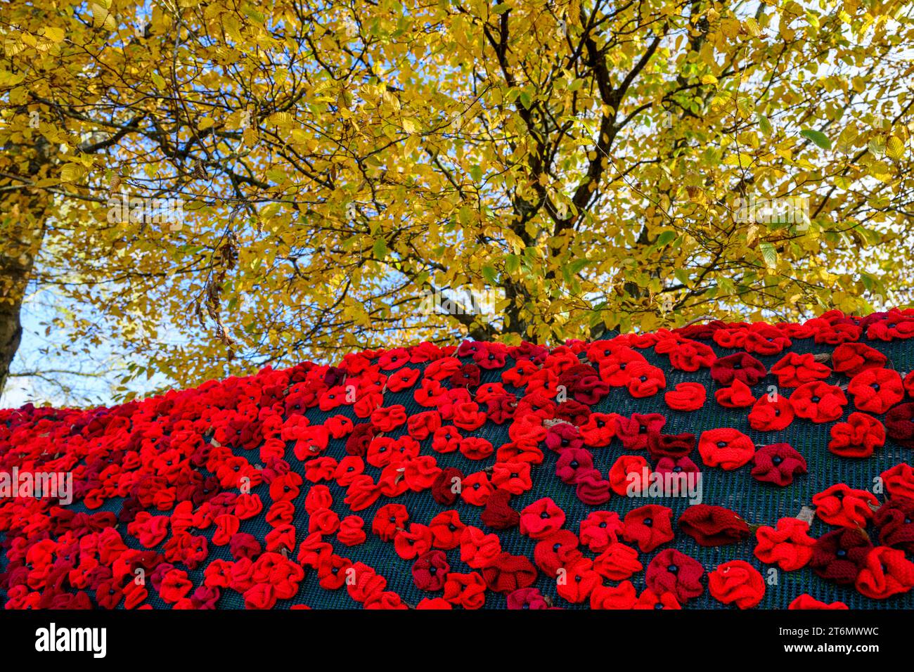 Hook, Hampshire, UK. 11th Nov 2023. Armistice Day - Thousands of hand ...