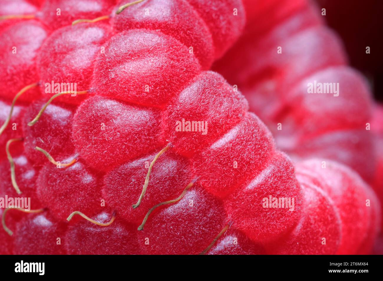 Texture of fresh ripe raspberry, macro view Stock Photo - Alamy