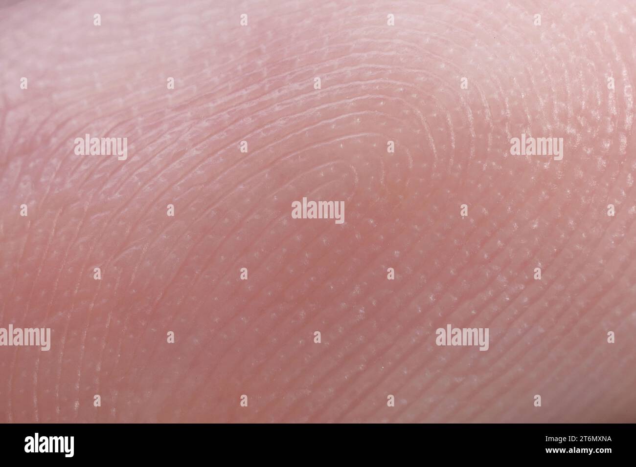 Friction ridges on finger as background, macro view Stock Photo - Alamy