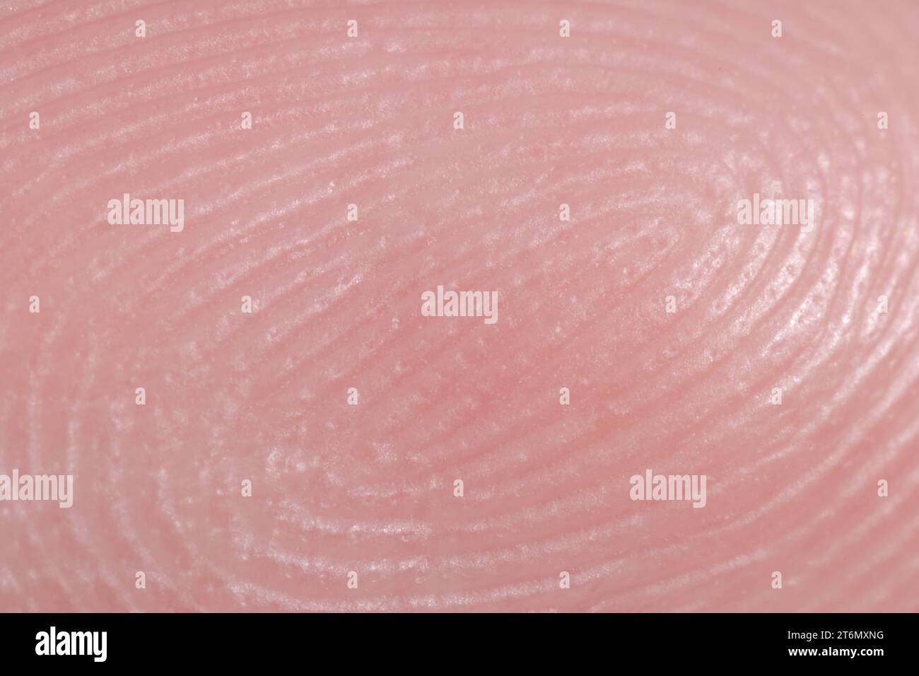 Friction ridges on finger as background, macro view Stock Photo - Alamy